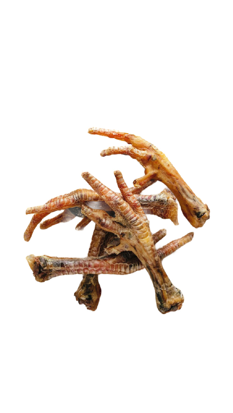 Natural Chicken Feet - Protein-Packed – DogTreatNZ